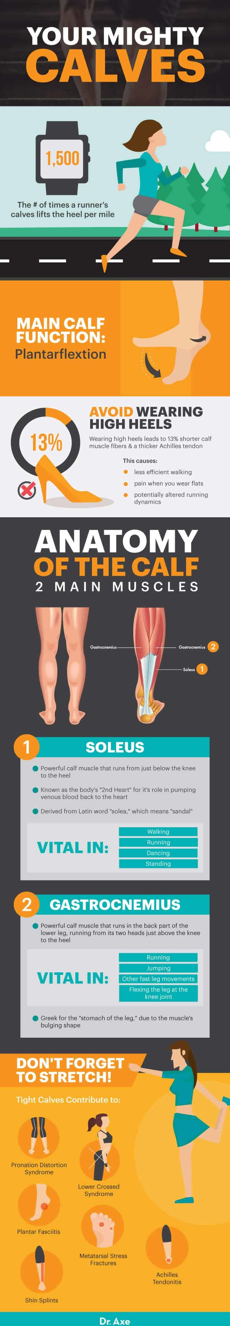 Best Calf Exercises & Stretches for Great Calves | NuroPerfomance